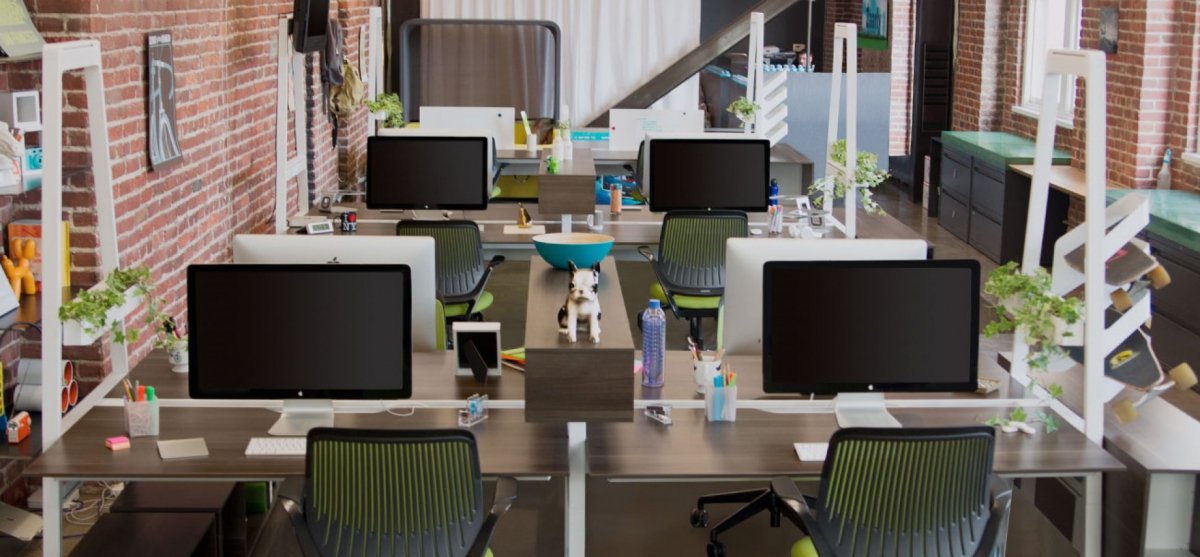 The Importance of Good Office Design – DesignWud Interiors