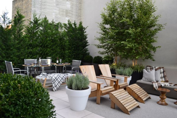 Reasons to go for Indoor Greens – DesignWud Interiors